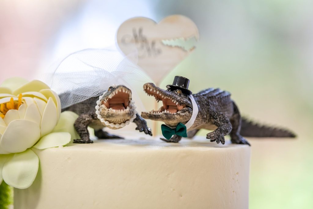 Florida Alligator Wedding - Jennifer Juniper Photography